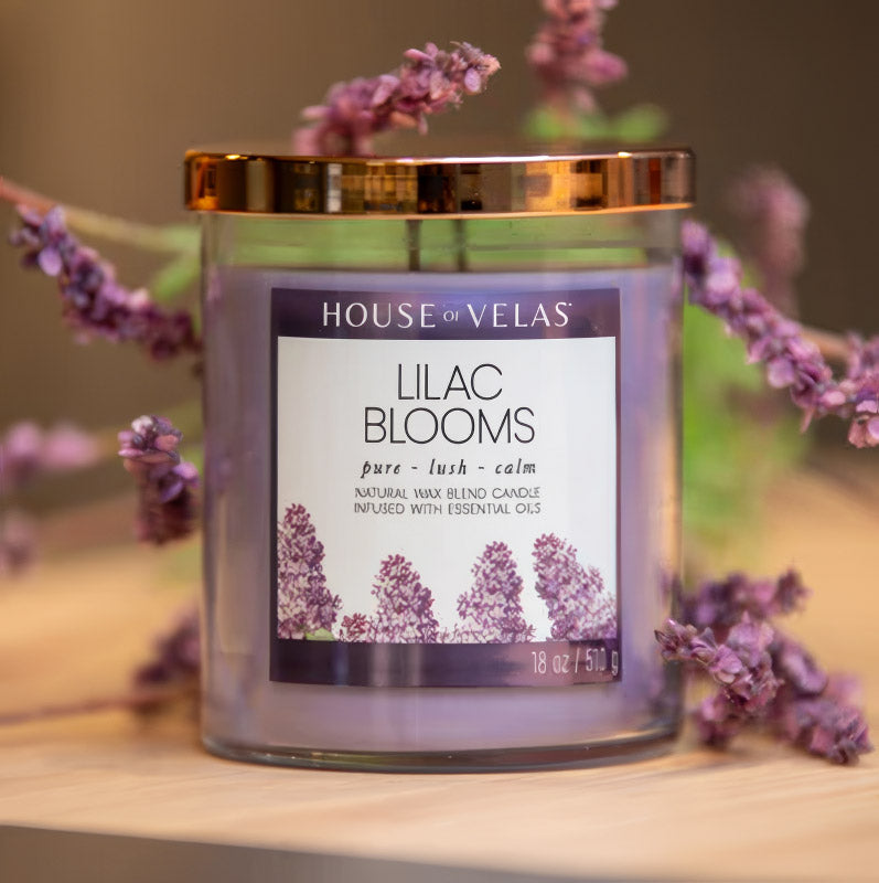 Collections – Velas Hispaniola
